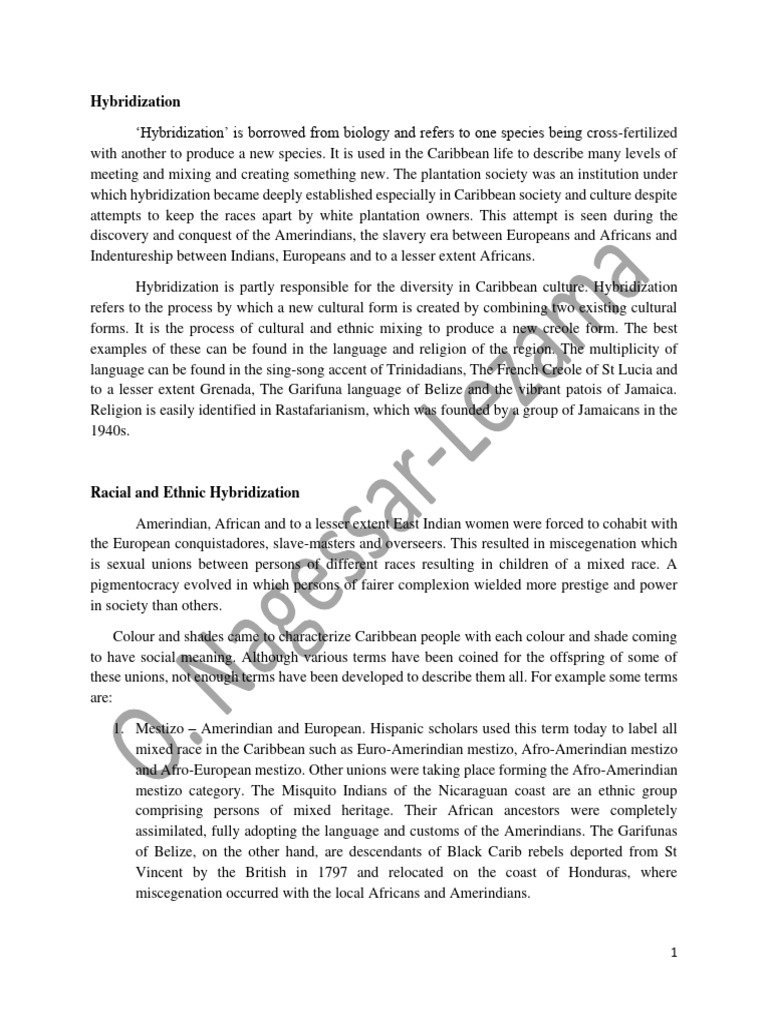 Hybridization and Creolization | PDF | Mulatto | Caribbean