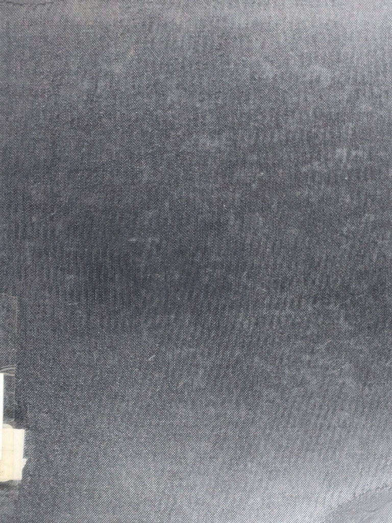 The Nazi Elite | PDF | Nazi Party | Nazi Germany