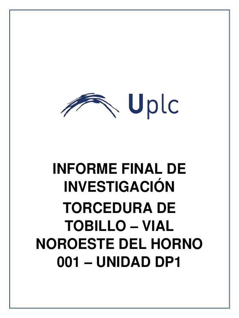 Informe Final - Negron Flores | PDF | Empleo | Tobillo