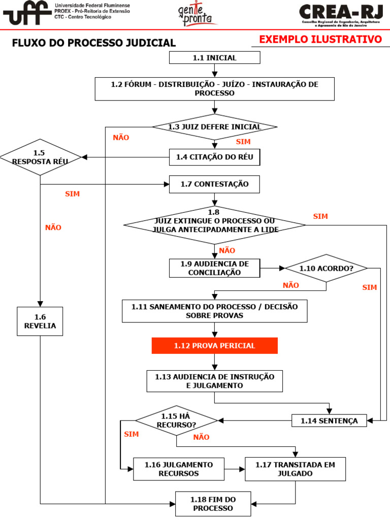 Fluxo Do Processo Judicial e Da Prova Pericial | Download grátis PDF | Procedimento criminal ...