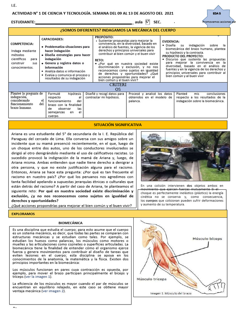 5° Sec Semana 1 Eda 5 Pdf Palanca