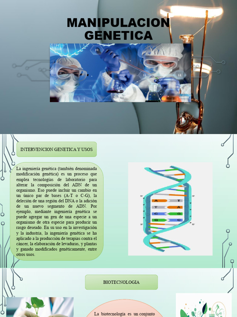 Manipulacion Genetica | PDF | Plásmido | Ingeniería genética
