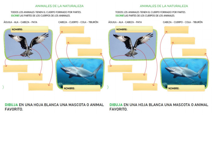 Partes de Animales | PDF