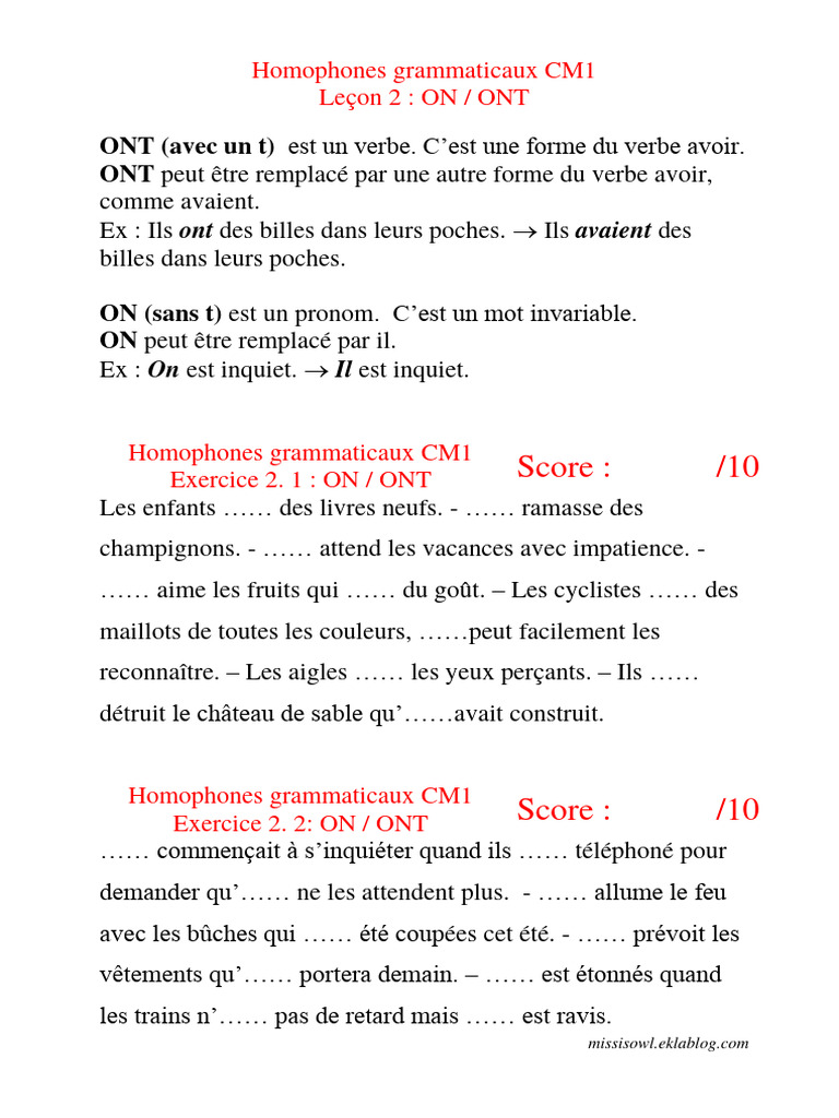 Exercices sur ON et ONT pour CM1 | PDF