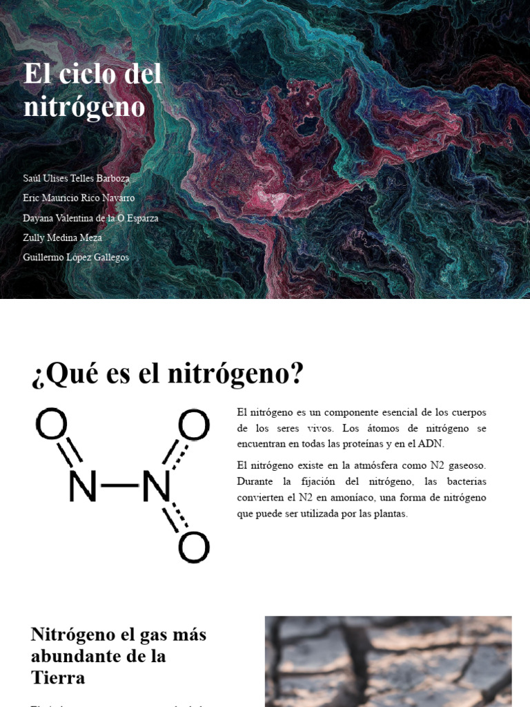 El Ciclo Del Nitrógeno | PDF
