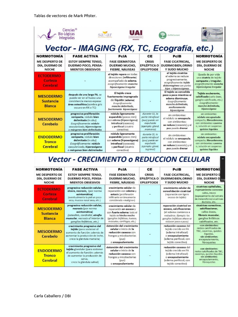 Tablas de Mark Pfister DBI | PDF