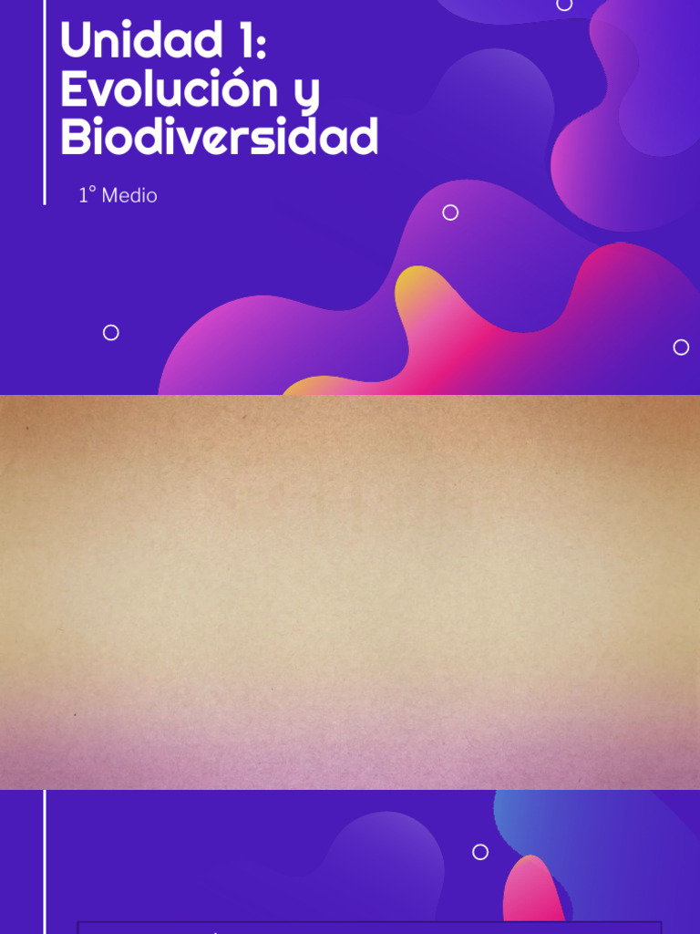 Evoluci-N y Biodiversidad - Unidad 1 - Clase 1 | PDF | Biodiversidad | Ecosistema