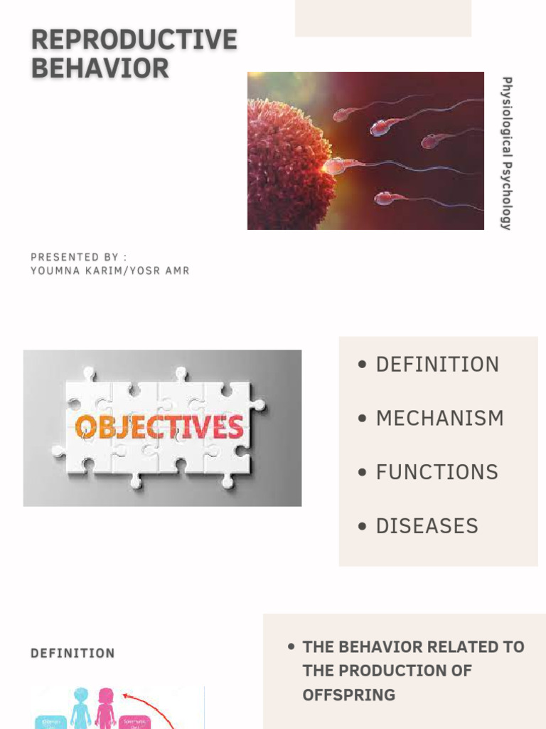 Reproductive Behavior | PDF | Uterus | Sexual Reproduction