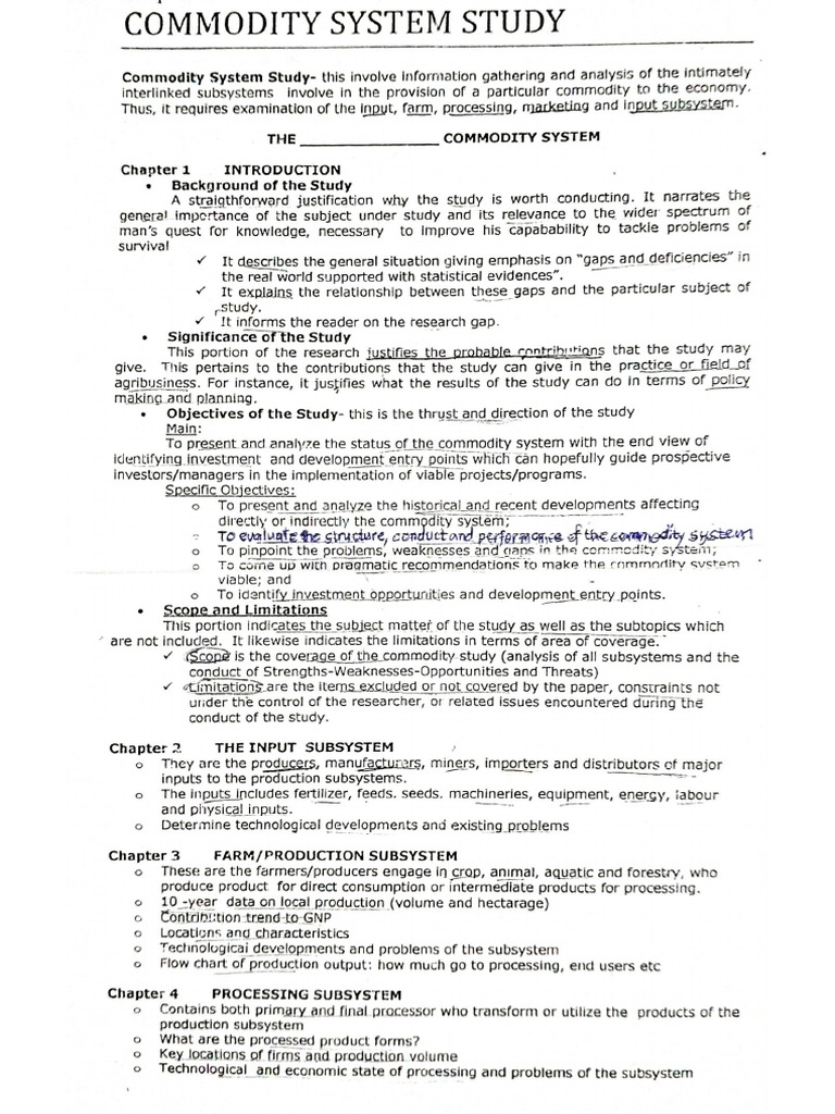 Commodity Case Study Format | PDF