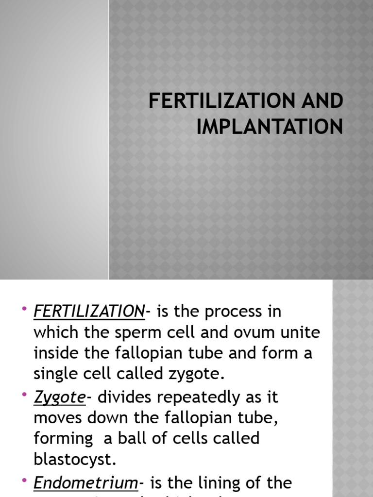 Science5 Fertilization | PDF | Uterus | Fertilisation