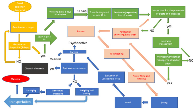 Cultivation Process Flowchart | PDF | Horticulture | Edible Plants