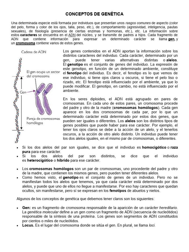 Conceptos de Genética | PDF | Alelo | Gene