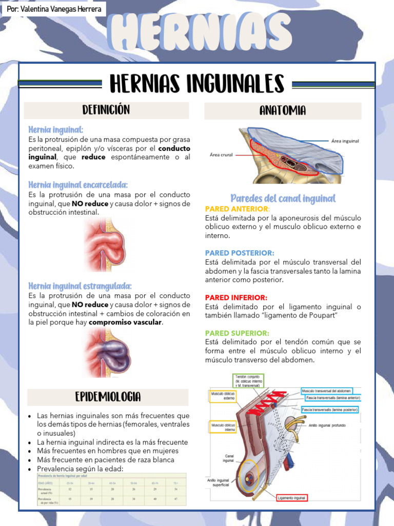 RESUMEN - Hernias | PDF | Abdomen | Anatomía