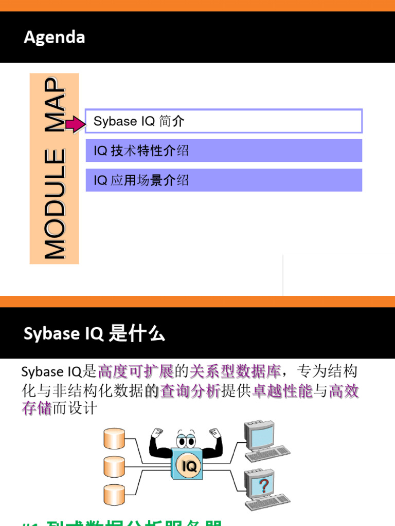Sybase IQintro | PDF