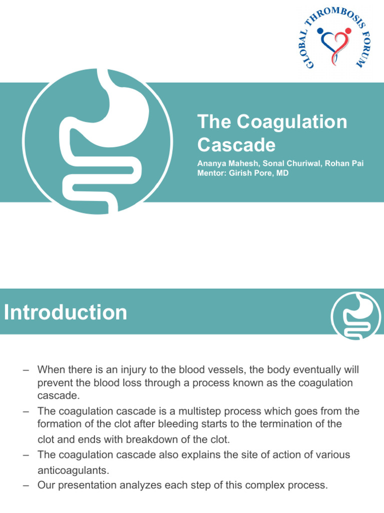 Coagulation Cascade | Download Free PDF | Coagulation | Thrombus