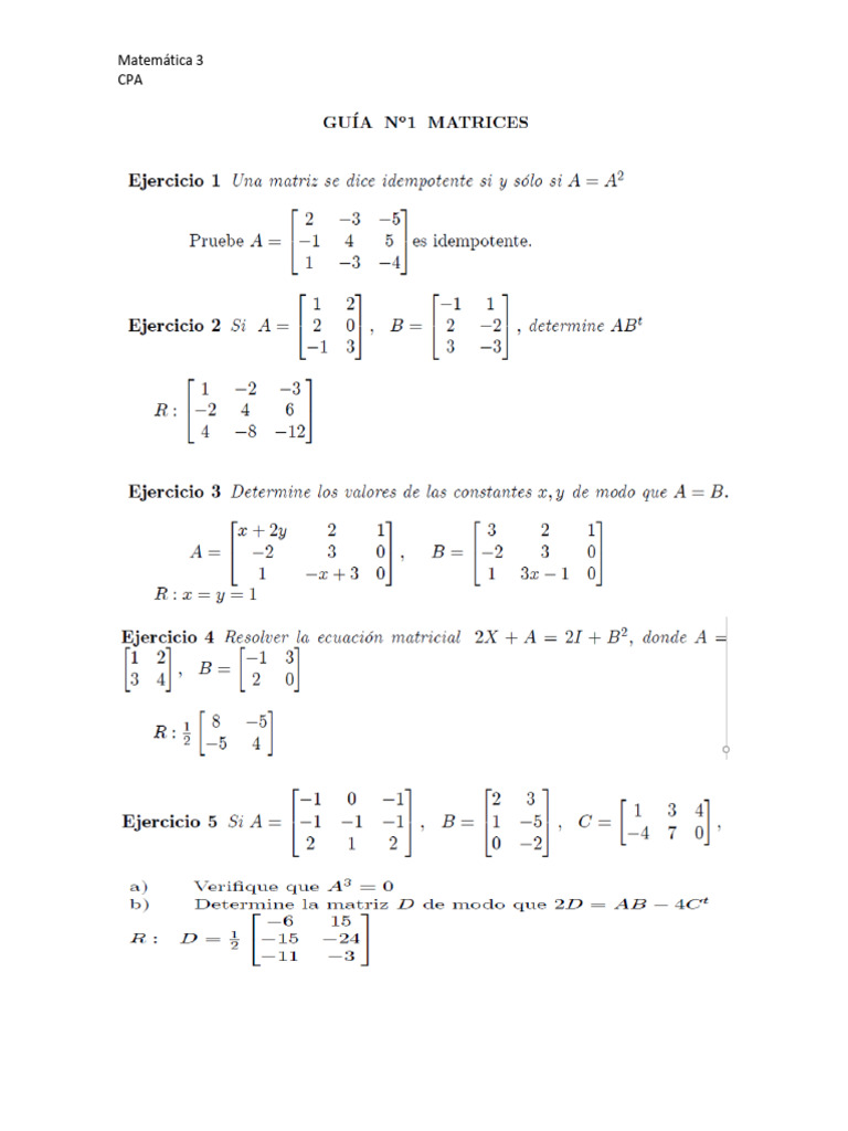 Guia_1_Matrices_468796_548948 | PDF