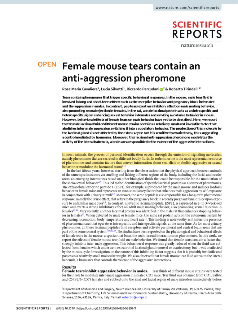 Female Mouse Tears: Anti-Aggression Pheromone | PDF | Pheromone ...