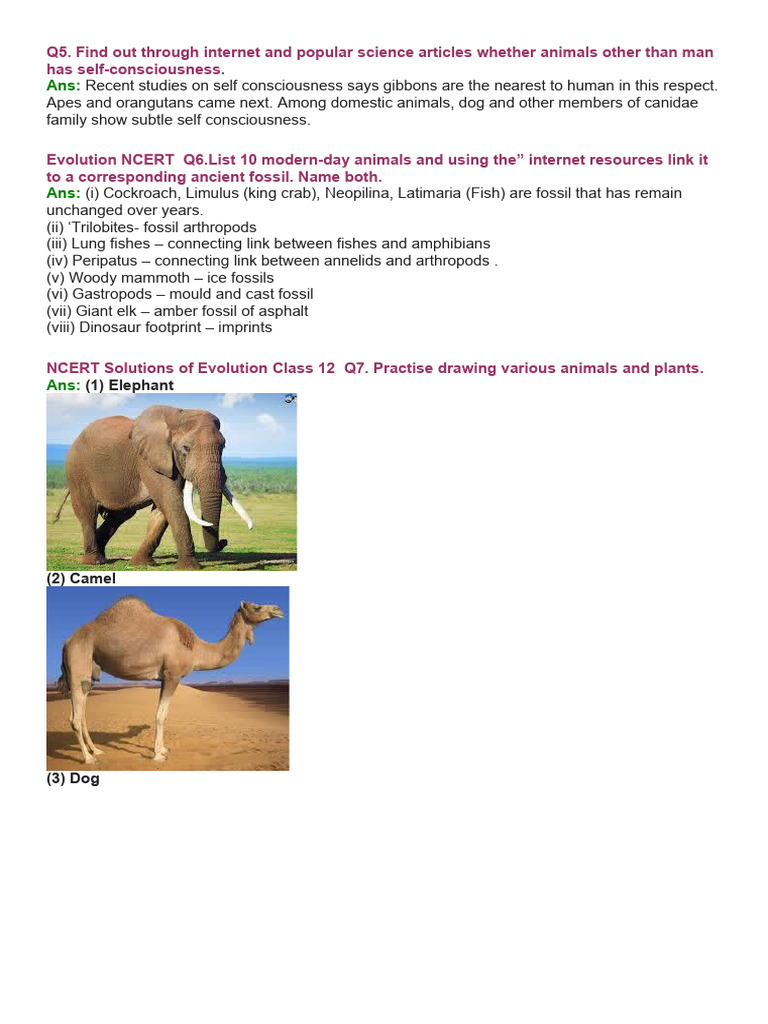 Connecting Links in Evolutionary Biology | PDF | Social Science | Young ...