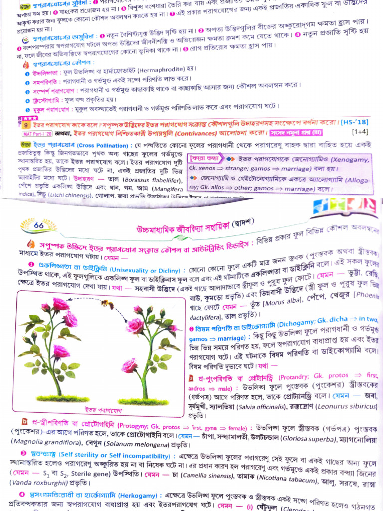 Plant Reproductive Strategies Explained | PDF