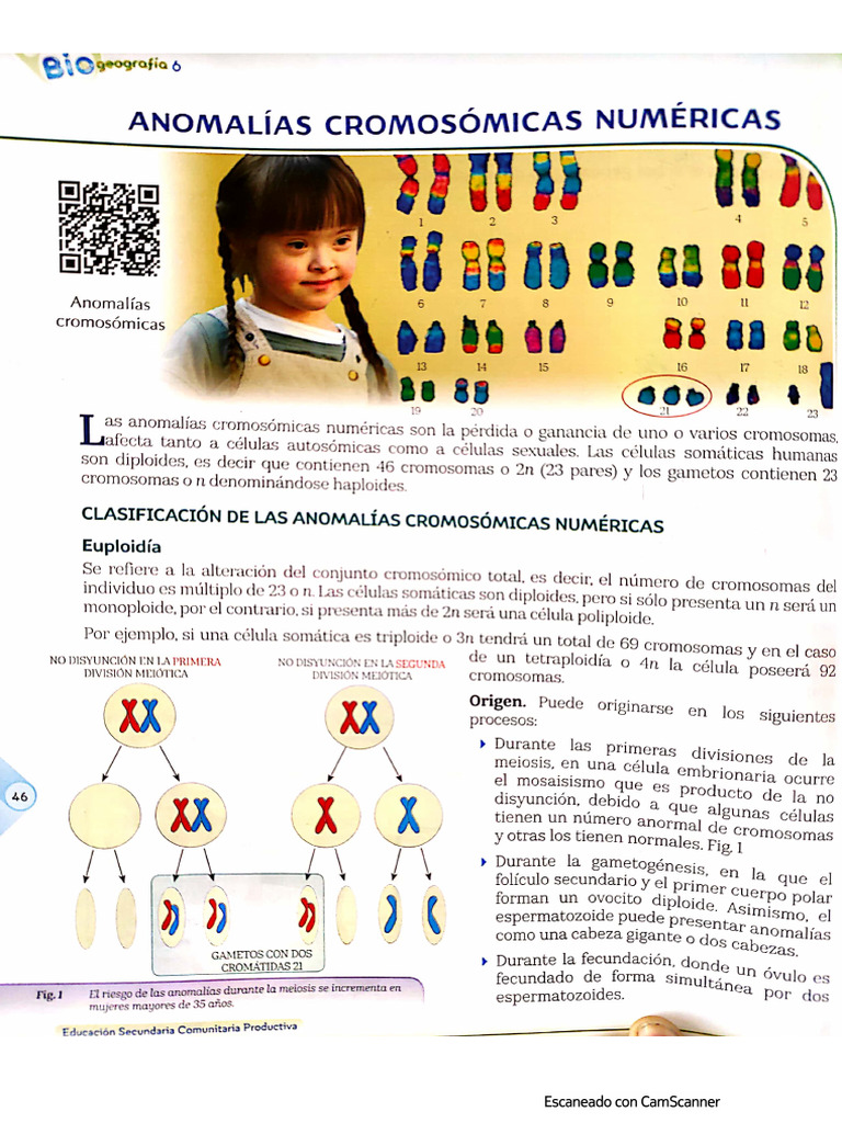 Anomalias Cromosomicas | PDF