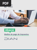 Instructivo Pagos Pse Dian | PDF