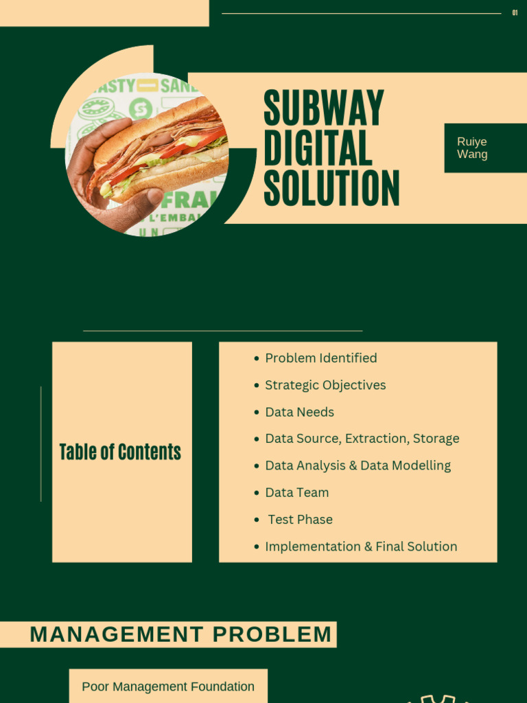 Subway | PDF | Data | Market Segmentation