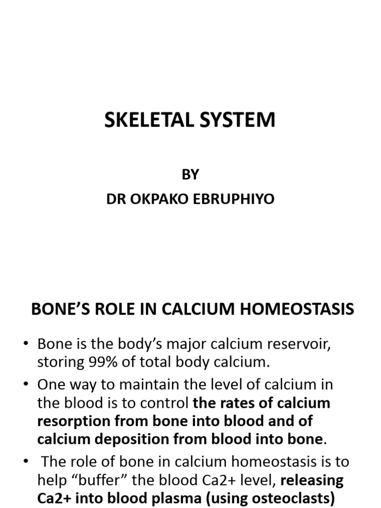 Skeletal System Physiology | PDF | Bone | Calcium In Biology