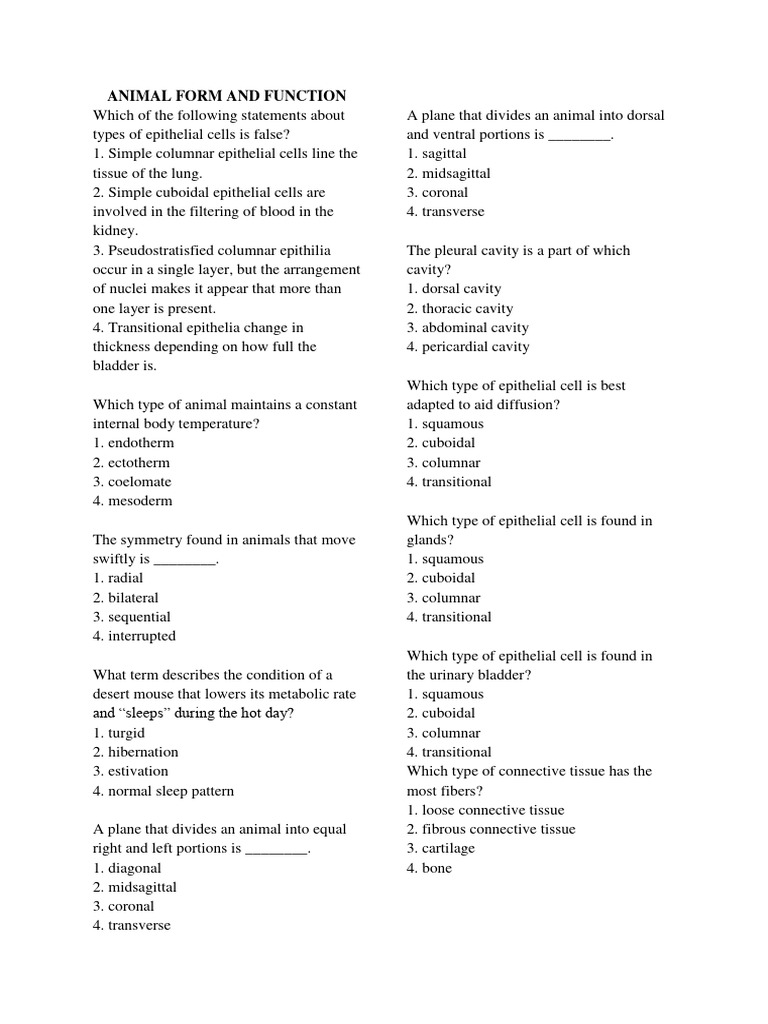 Animal Form and Function | PDF | Epithelium | Neuron