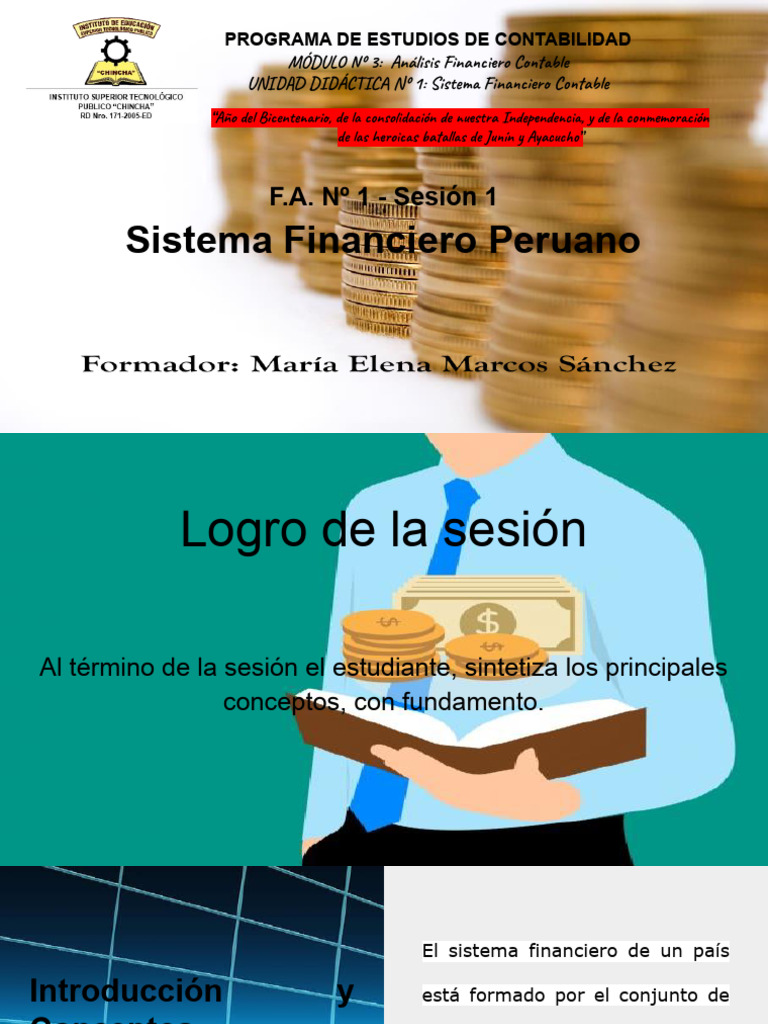 Sistema Financiero Contable | PDF | Sistema financiero | Portafolio (Finanzas)
