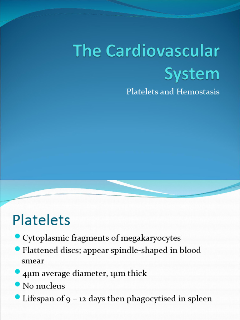 LECTURE 2 - Platelets - and - Hemostasis, Events of Bloodclotting | PDF ...