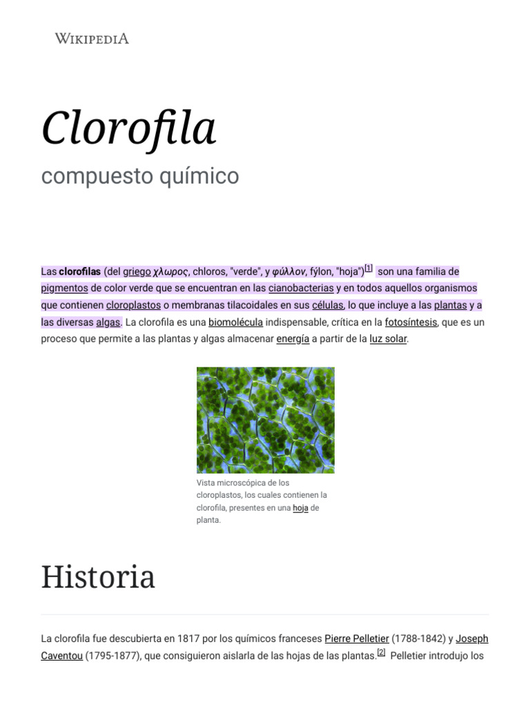 Clorofila: Compuestos y Funciones | PDF | Clorofila | Fotosíntesis
