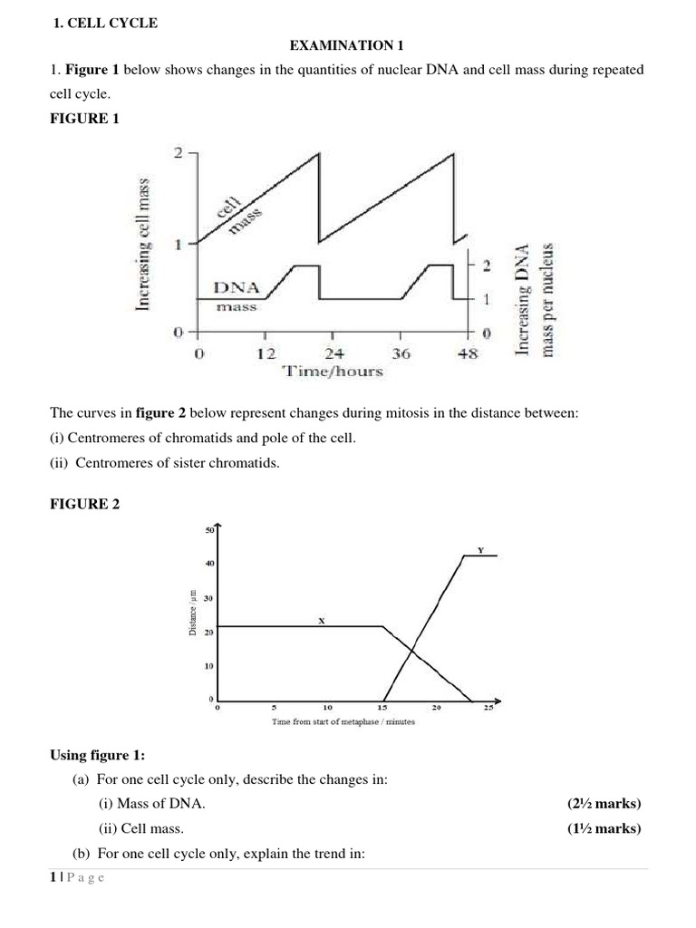 s5 Biology Examinations and Solutions | PDF | Dominance (Genetics ...