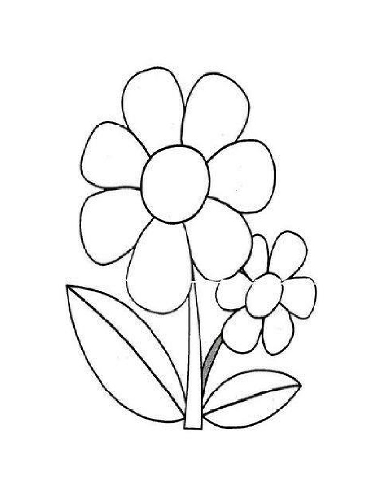 SEMANA 7 ACT INTERDISC 5TOS BASICA PDF | PDF