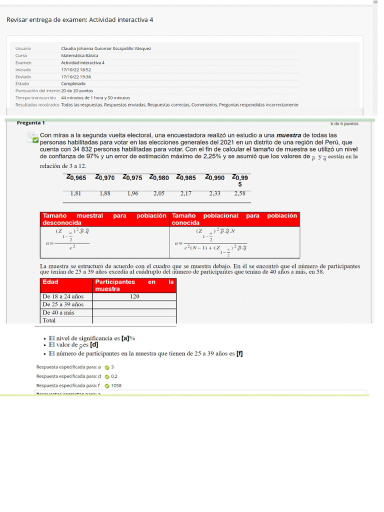 Actividad Interactiva 4 | PDF
