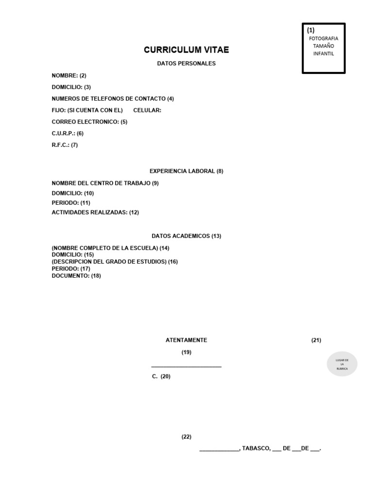 Guía para Completar un CV Efectivo | PDF | Documento de identidad
