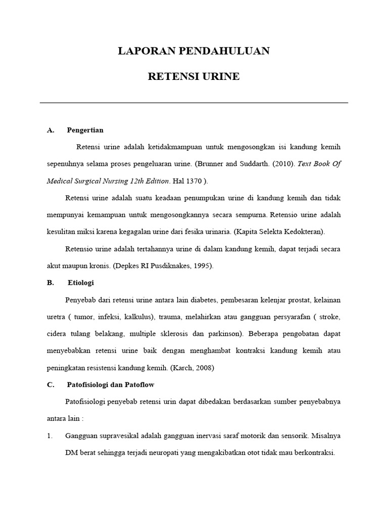 LP Retensi Urine | PDF