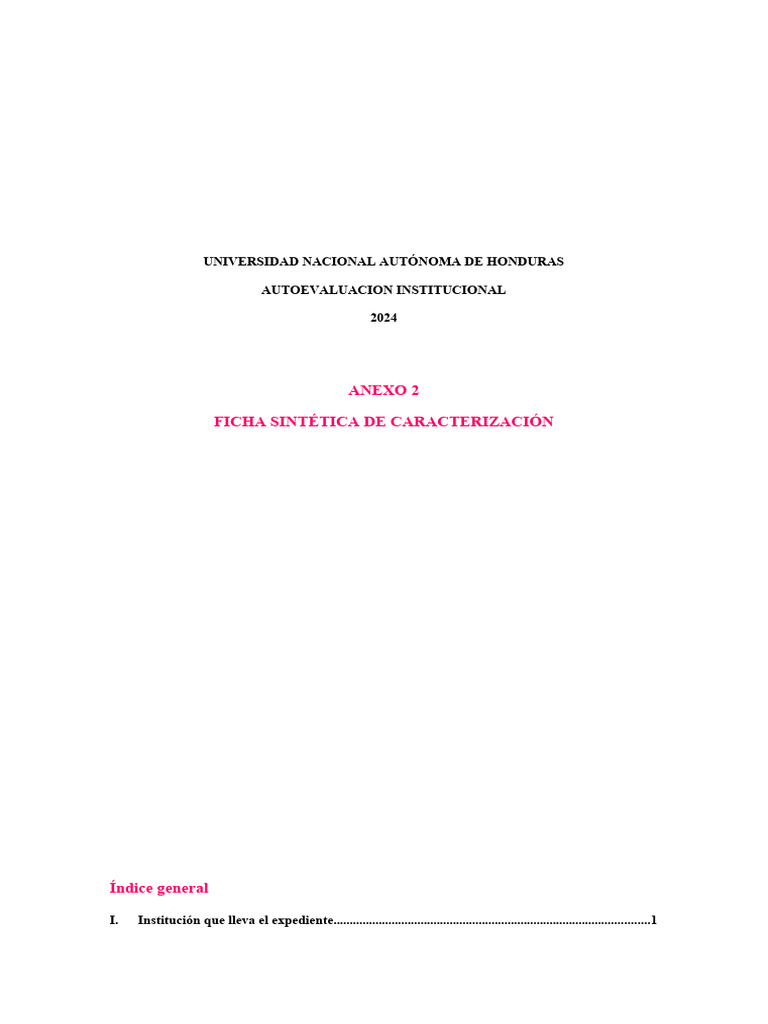 ANEXO 2 - FICHA SINTÉTICA DE CARACTERIZACIÓN-2023 5 de Abril 2024 AyD | PDF