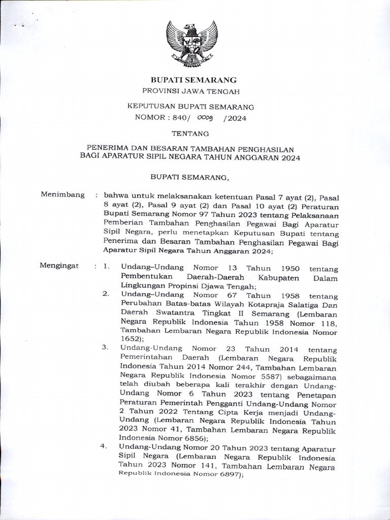 Sk Bupati TPP 2024 | PDF