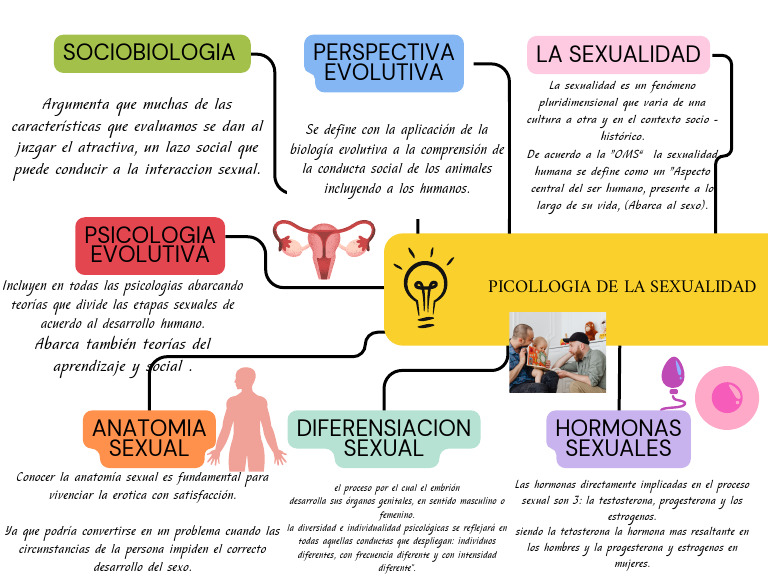 Grafico Mapa Conceptual Psicologia de La Sexualidad | PDF | La sexualidad humana | Sicología