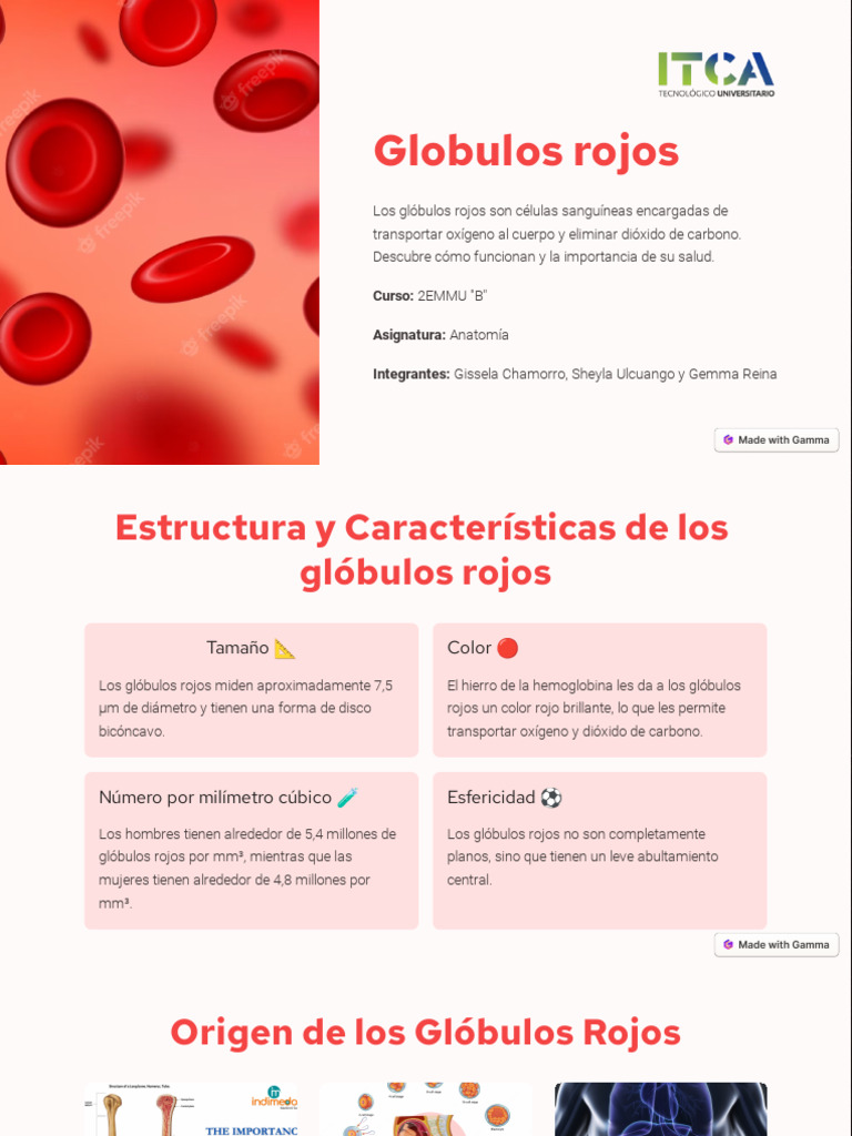 Globulos Rojos | PDF | Glóbulo rojo | Sangre