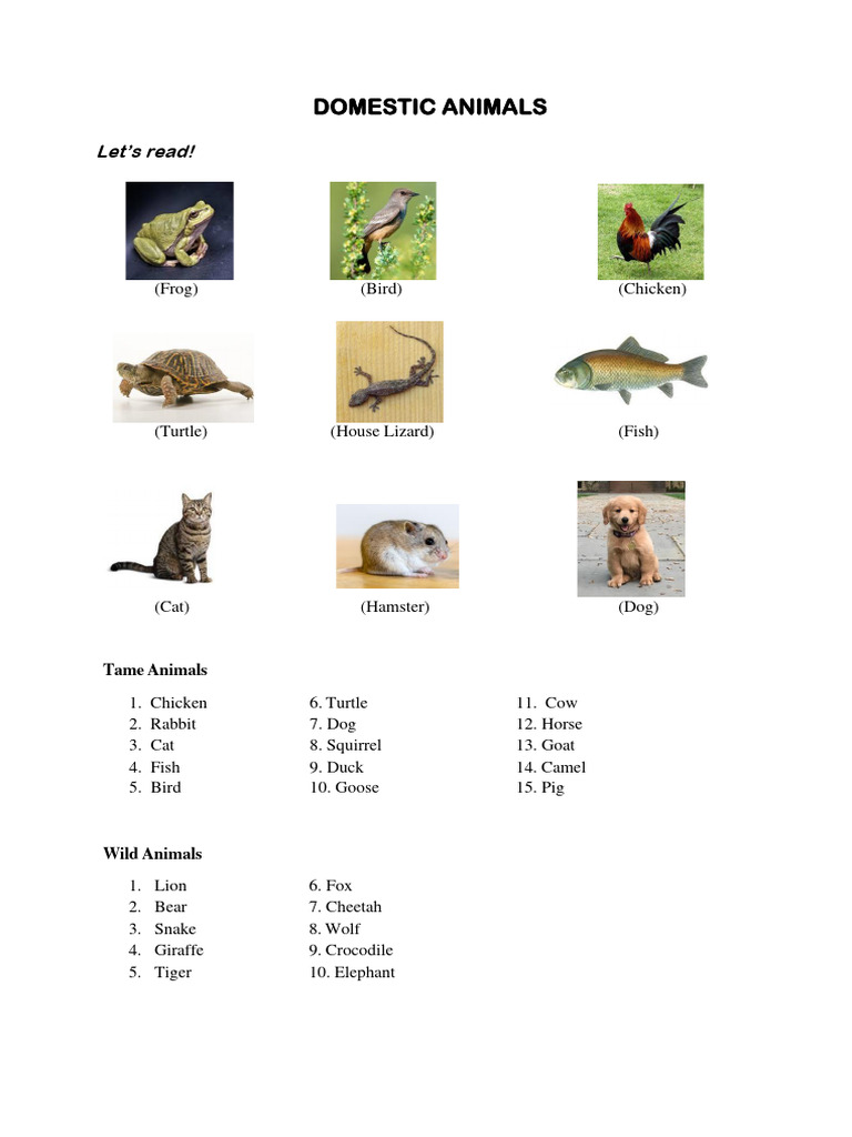 Domestic Animals for Kids Worksheets | PDF