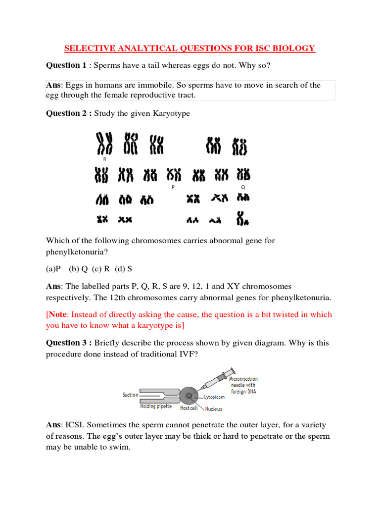 Selective Analytical Questions | PDF | Genotype | Zygosity