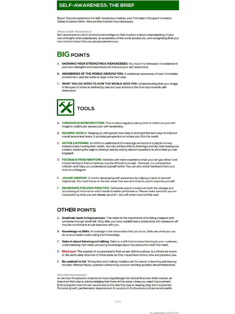 Self Awareness-The Brief | PDF