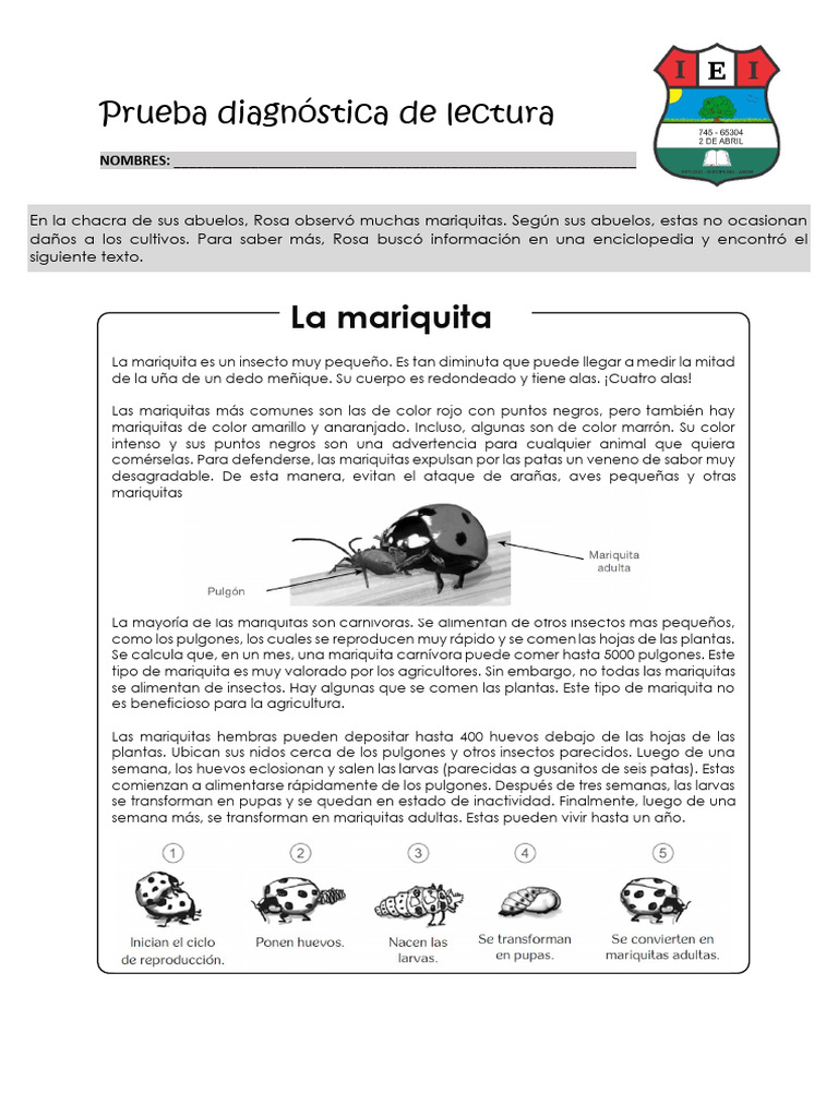 Prueba Diagnóstica de Lectura | PDF | Coccinellidae | Dom