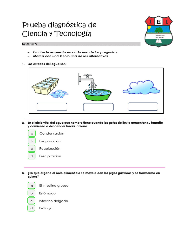 Prueba diagnóstica de ciencia y tecnología | PDF