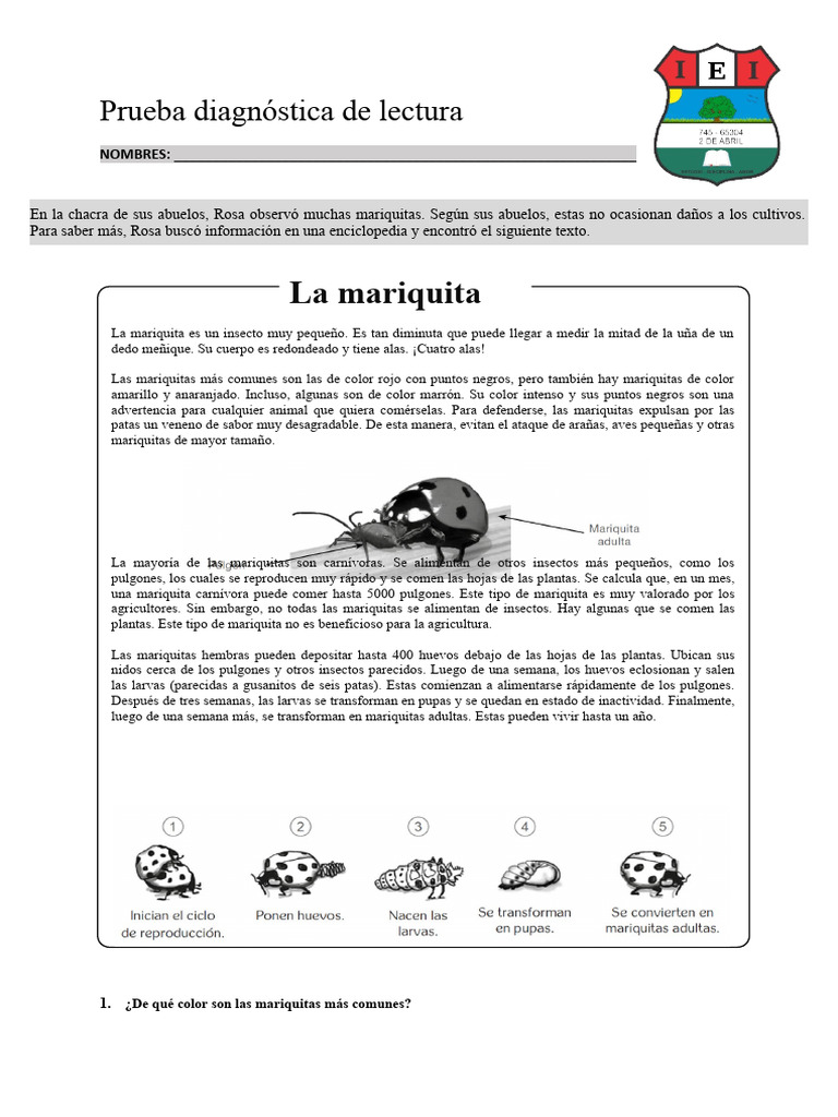 Prueba Diagnóstica de Lectura | PDF | Coccinellidae | Insectos