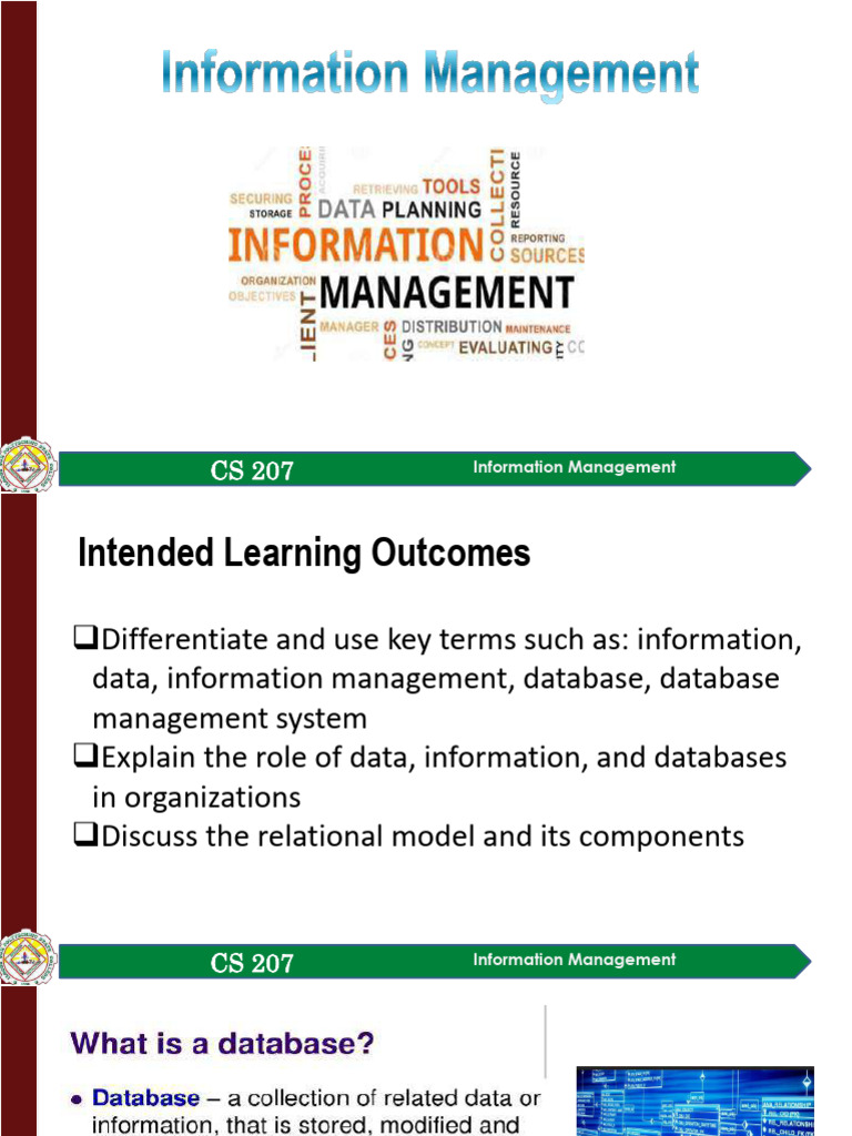 IM LEC 2 | PDF | Databases | Relational Database