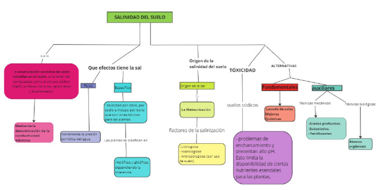 Mapa conceptual (6) Quimica de suelo | PDF