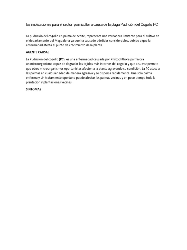 Las Implicaciones para El Sector Palmicultor A Causa de La Plaga ...