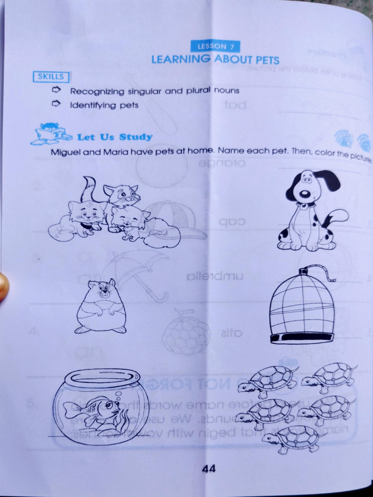 Learning About Pets | PDF